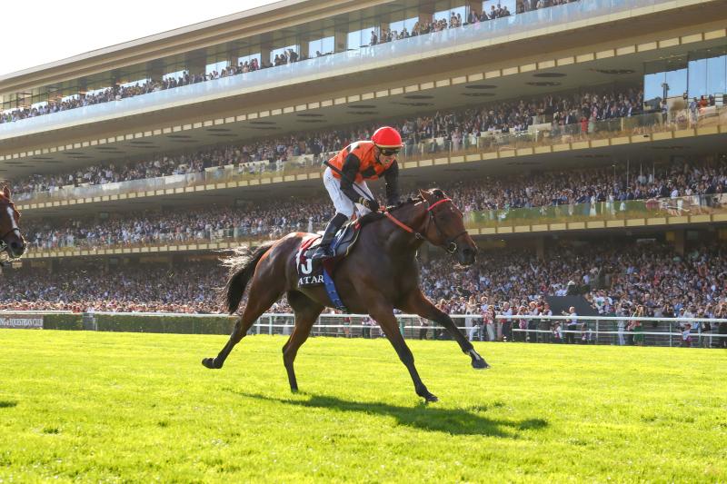 News - Haras de Beaumont