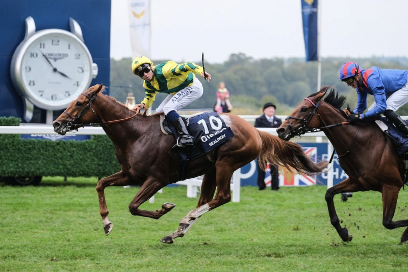 Actualités - Haras de Beaumont